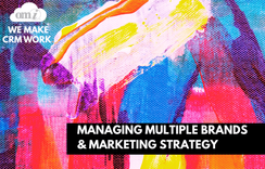 Multi-Brand Marketing Strategy 101: How to Succeed | OMI | OMI